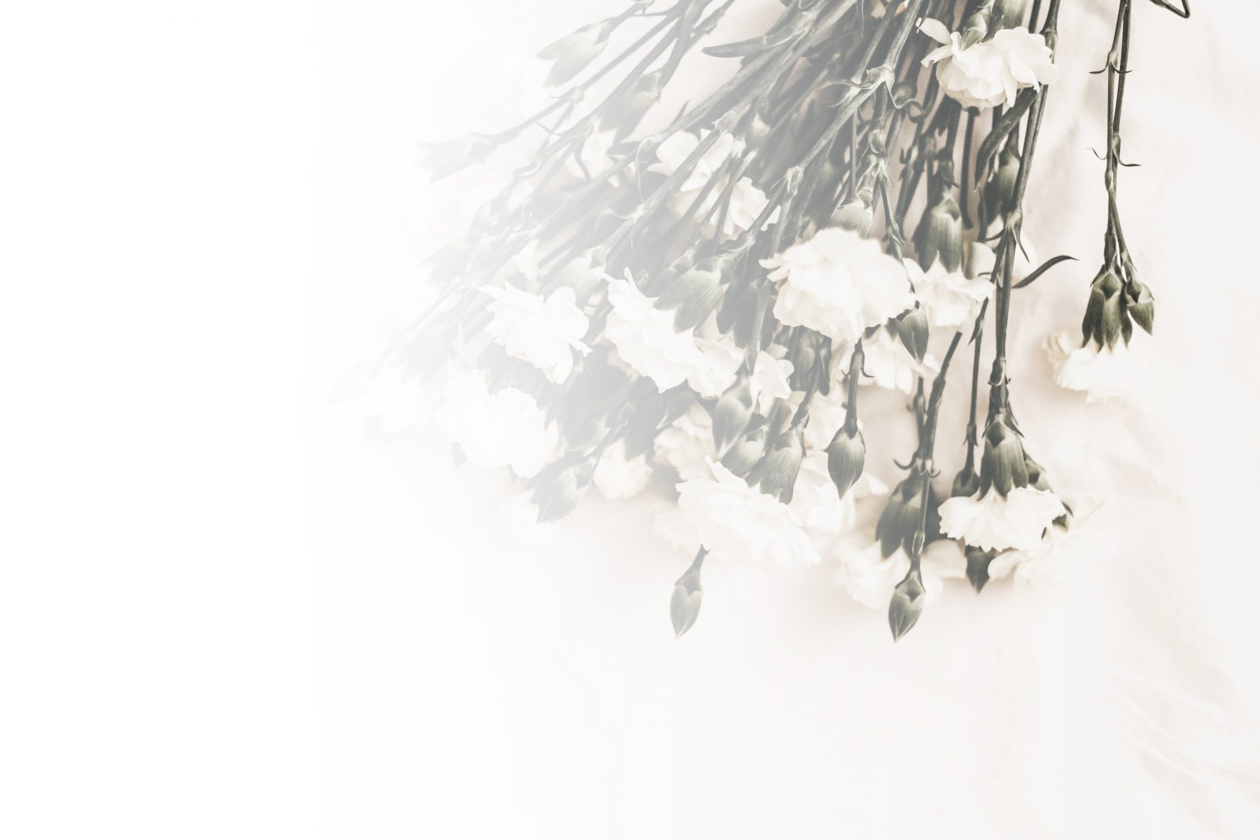 Care Funeral Services - Professional Funeral Services in Singapore